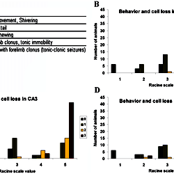 Table A describes seizure behavioral scoring for each Racine scale value.
