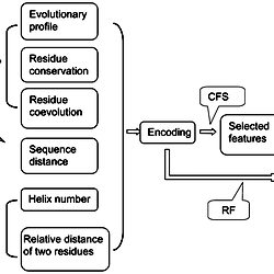 Schematic overview of RF-based model building process of the TMhhcp ...