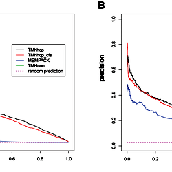 The precision-recall curves based on the independent test set.