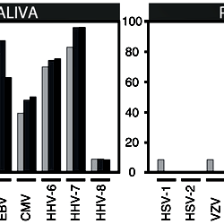Prevalence of HHVs in saliva and plasma.