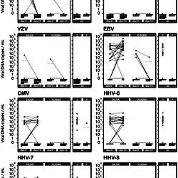 HHVs loads in saliva and plasma before and after anti-malarial treatment.