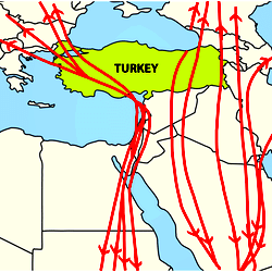 The main migration routes of birds passing through Turkey.