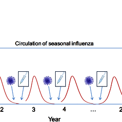 Schematic illustration of the simulation sequence.