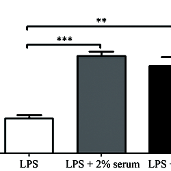 Gal 3/LPS interaction enhances the fluorescence of FITC-LPS.