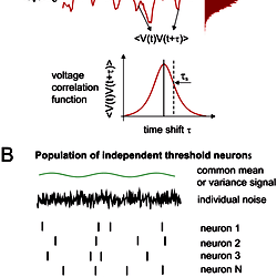 Spike generation and signal representation in the single spiking ...