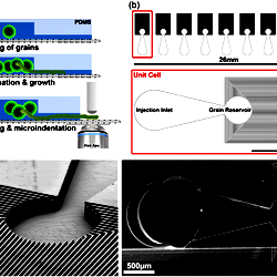 Lab-on-a-chip (LoC) device.