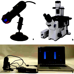 Fluorescence Microscope (a) Our prototype (b) Commercial microscope [12 ...
