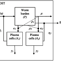 Schematic diagram of the plasma cell model.