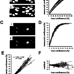 Validation of confluency measurements using cell distribution mapping.