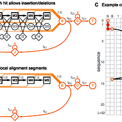 Item - The MSV profile. - Public Library of Science - Figshare