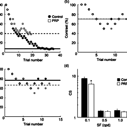 Effects on performance in 2AFC task by PRP.