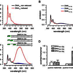 Emission of pyrene compounds reacted with thiol-modified DNA.