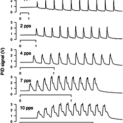 Responses of the PID to pulse trains of linalool.