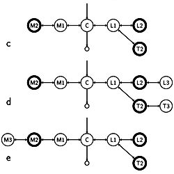 List of model schematics used for the structural model evaluation.