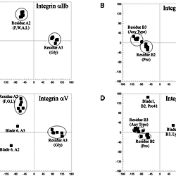 Fourteen pairs of torsion angles of amino acids A2 and A3 (segment A ...