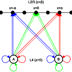 Schematic model of the L4 to L2/3 projection geometry.