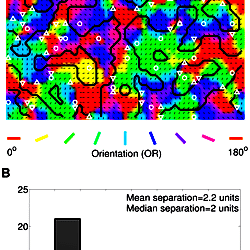 OR map superimposed with OD map contours.
