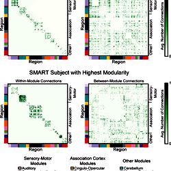 Module connectivity for SMART subjects with low and high modularity.