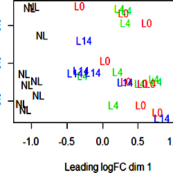 PCA plot of the samples (NL, L0, L4 and L14).