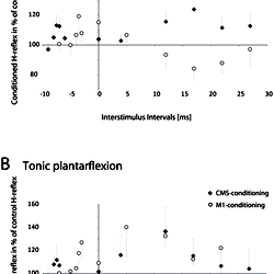 Mean data of the H-reflex conditioning.