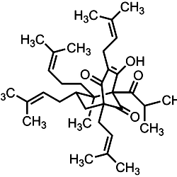 Chemical structure of hyperforin HF.