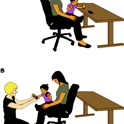 Schematic of the sharing task.