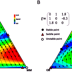 Different types of dynamics for scenario 1.