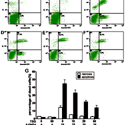 Cell apoptosis and necrosis detected by flow cytometry.