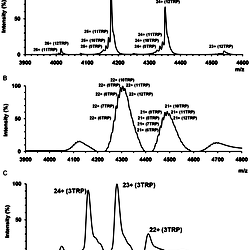 Native mass spectrometry analysis.