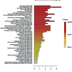 Summary of pathway enrichment analysis.