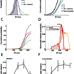 Race models cannot explain audiovisual RTs.