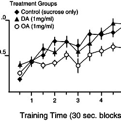 Avoidance conditioning learning curves.