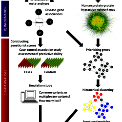 The systems genetics approach proposed in this study.