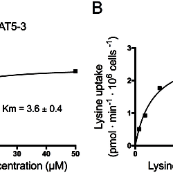 Transport kinetics of TbAAT5-1 and TbAAT16-1.