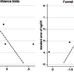 The Publication Bias Shown by Funnel Plots.