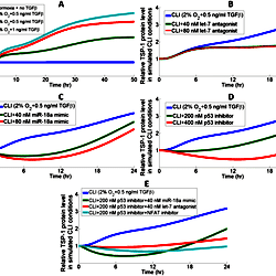 Different therapeutic interventions to reduce TSP-1 levels in PAD.