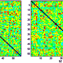 Mean absolute z-score matrices for HCs and SZ.