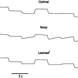 Generated eye movements of example networks.