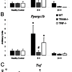 Ppargc1a, Ppargc1b, and Tnf mRNA levels in S. aureus sepsis.
