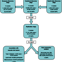 Design of the study.