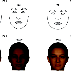 Visualization of the first two principal components (PCs) of face shape ...