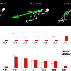 Cervical Spine Injuries: A Whole-Body Musculoskeletal Model for the ...