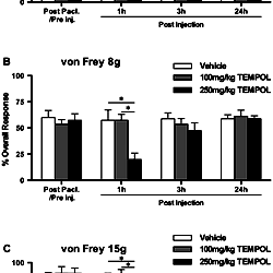 Effect of TEMPOL on established paclitaxel-induced mechanical ...