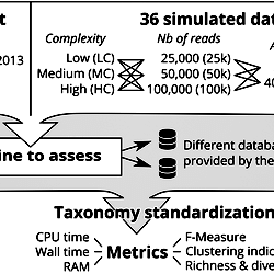 Schematic overview of the evaluation protocol.