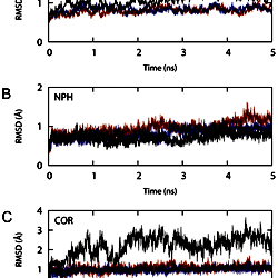 RMSD values during the MD simulation.