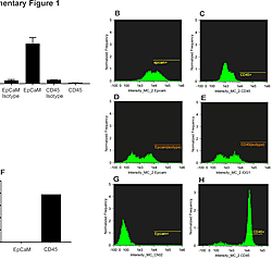 NHBE ALI culture conditions do not demonstrate presence of immune cells.