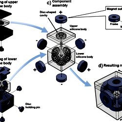 Fabrication of soft robotic modules.