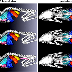 Visual comparison of the segmentation results with the reference ...