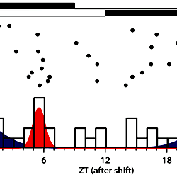 Subpopulation analysis of the electrical activity profile after an ...