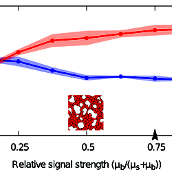 Sensitivity analysis of chemotactic signal strength.